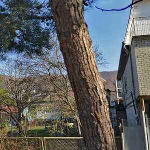Khalturina street, No:6, Gelencik: Fotoğraflar