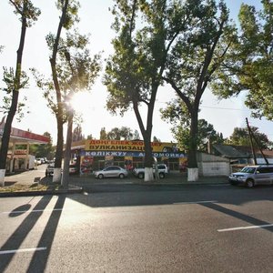Söyünbayev Cad., No:66/3, Almatı: Fotoğraflar