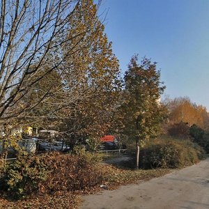 Bazova vulytsia, No:1, Zaporoje: Fotoğraflar