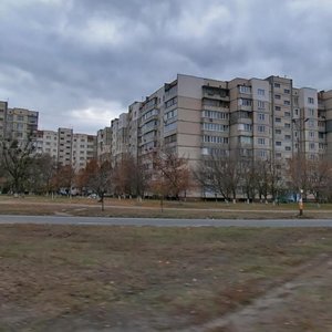 Akademika Korolova Avenue, No:4, Kiev: Fotoğraflar