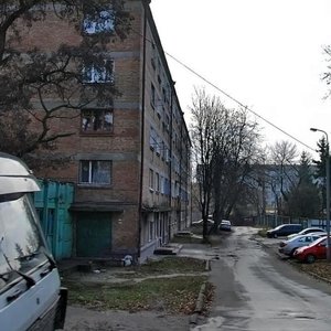 Oleksy Tykhoho Street, No:91А, Kiev: Fotoğraflar