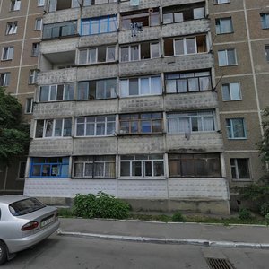 Vulytsia Shevchenka, No:40, Vinica: Fotoğraflar