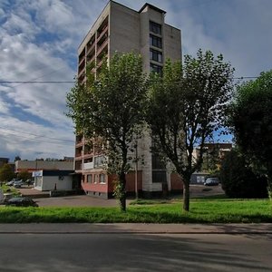 Leningradskoye Highway, No:33, Vyborg: Fotoğraflar