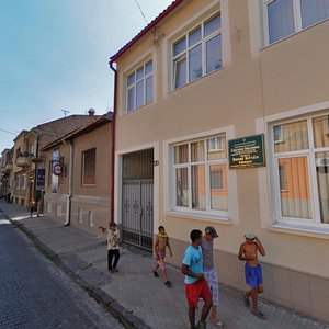 Vulytsia Nedetsei, No:20, Mukaçeve: Fotoğraflar