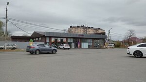 Ulitsa Bortsov Revolyutsii, No:273, Budennovsk: Fotoğraflar