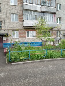 Ulitsa Nikitina, No:15Б, Briansk: Fotoğraflar