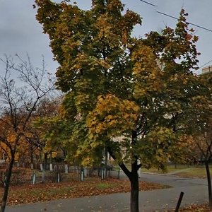 Cheliabinska Street, No:7, Kiev: Fotoğraflar