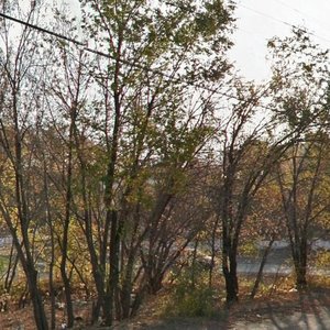 Karbysheva Street, No:12А, Kurgan: Fotoğraflar