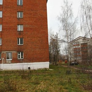 Zelyonaya ulitsa, No:10, Kstovo: Fotoğraflar
