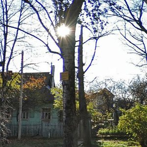 2nd Podrezkovskaya Street, No:3, Moskova: Fotoğraflar