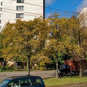 Veteranov Avenue, No:51, Saint‑Petersburg: Fotoğraflar