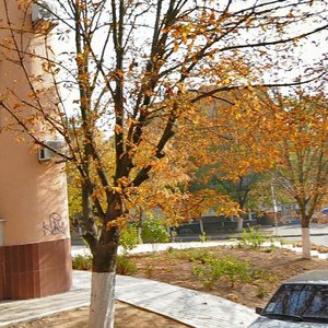 Himnazychna vulytsia, No:26, Herson: Fotoğraflar