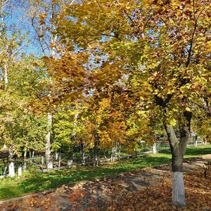 Gorkogo Street, No:95А, Vladimir: Fotoğraflar