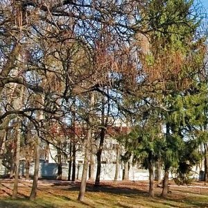 Holosiivskyi Avenue, No:103/105, Kiev: Fotoğraflar
