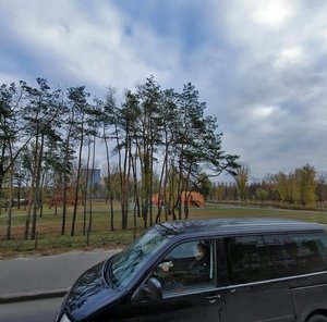 Vyzvolyteliv Avenue, No:8А, Kiev: Fotoğraflar