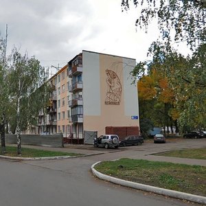 Yunosti Street, No:8, Nijnekamsk (Tüben Kama): Fotoğraflar
