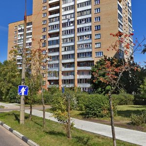 Pontekorvo Street, No:13, Dubna: Fotoğraflar