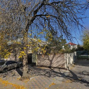 Vulytsia Sholom-Aleikhema, No:14, Herson: Fotoğraflar
