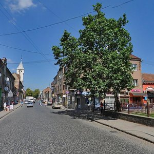 Vulytsia Dukhnovycha, No:2, Mukaçeve: Fotoğraflar
