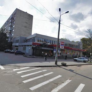Polkovnyka Potiekhina Street, No:12А, Kiev: Fotoğraflar