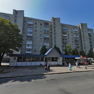 Vulytsia Lesi Ukrainky, No:8, Ternopol: Fotoğraflar