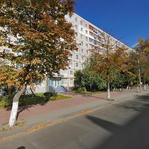 Yevropeiska vulytsia, No:13, Vishnevoye: Fotoğraflar