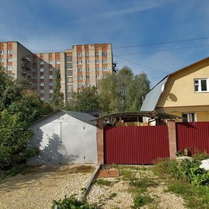 Pushkina Street, No:93, Stupino: Fotoğraflar