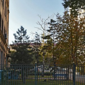Sovetskaya Street, No:38, Volgograd: Fotoğraflar