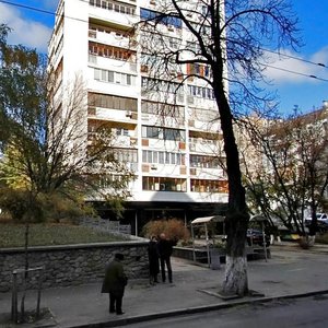 Sichovykh Striltsiv Street, No:44, Kiev: Fotoğraflar
