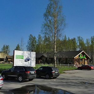 St. Petersburg Highway, No:111, Peterhof: Fotoğraflar