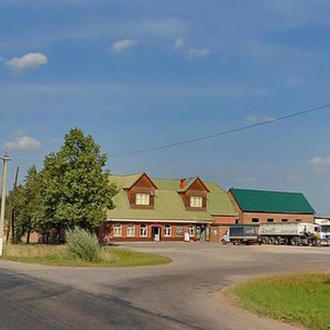 Derevnya Sudislovo, No:81, Moskova ve Moskovskaya oblastı: Fotoğraflar