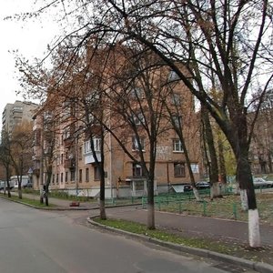 Mytrofana Dovnar-Zapolskoho Street, No:11, Kiev: Fotoğraflar