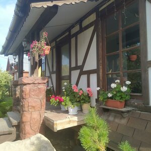 Nagornaya ulitsa, No:31А, Soligaliç: Fotoğraflar