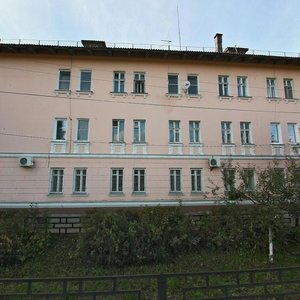 Profsoyuznaya ulitsa, No:2, Bor: Fotoğraflar