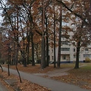 Anatoliia Petrytskoho Street, No:5/9, Kiev: Fotoğraflar