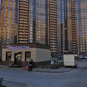 Valeriya Gavrilina Street, No:3А, Saint‑Petersburg: Fotoğraflar