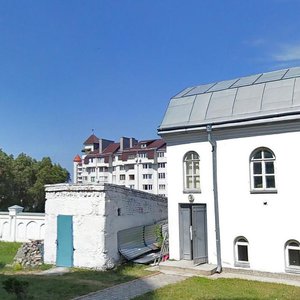 Vulytsia Riepina, No:18, Ternopol: Fotoğraflar