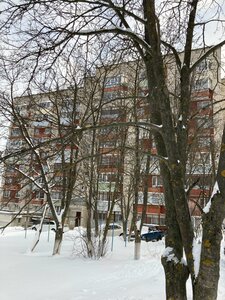 Ulitsa Dobrovolskogo, No:19, Kolçugino: Fotoğraflar