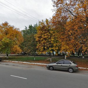 Bilohorodska vulytsia, No:41, Boyarka: Fotoğraflar