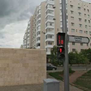 Sayran Sok., No:9Б, Astana: Fotoğraflar