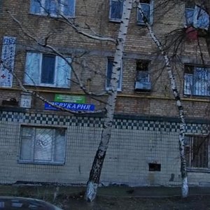 Oleha Olzhycha Street, No:25, Kiev: Fotoğraflar