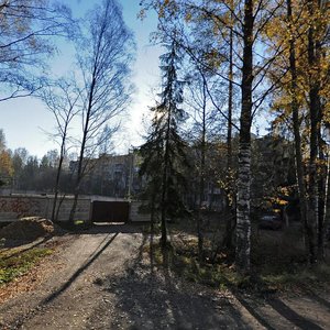 Zarechnaya ulitsa, No:17, Sertolovo: Fotoğraflar