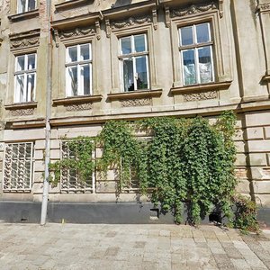 Horodotska vulytsia, No:47, Lviv: Fotoğraflar