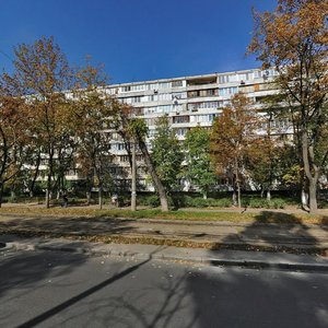 Dehtiarivska Street, No:10, Kiev: Fotoğraflar