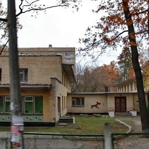 Verkhovynna Street, No:17, Kiev: Fotoğraflar