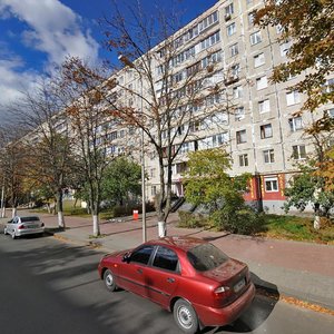Yevropeiska vulytsia, No:11, Vishnevoye: Fotoğraflar