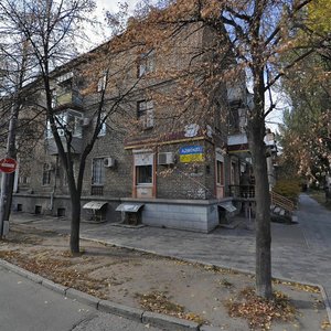 Vulytsia Zelinskoho, No:2, Zaporoje: Fotoğraflar
