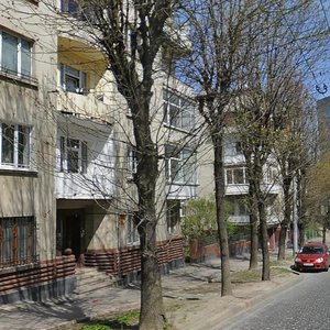 Stryiska vulytsia, No:36, Lviv: Fotoğraflar