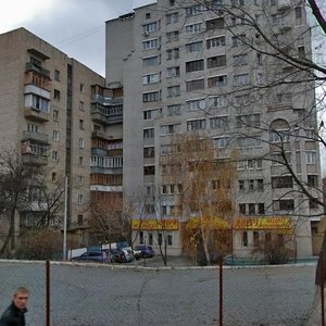 Vilhelma Kotarbinskoho Street, No:15, Kiev: Fotoğraflar