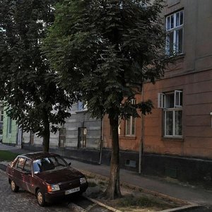 Vulytsia Marka Vovchka, No:31, Lviv: Fotoğraflar